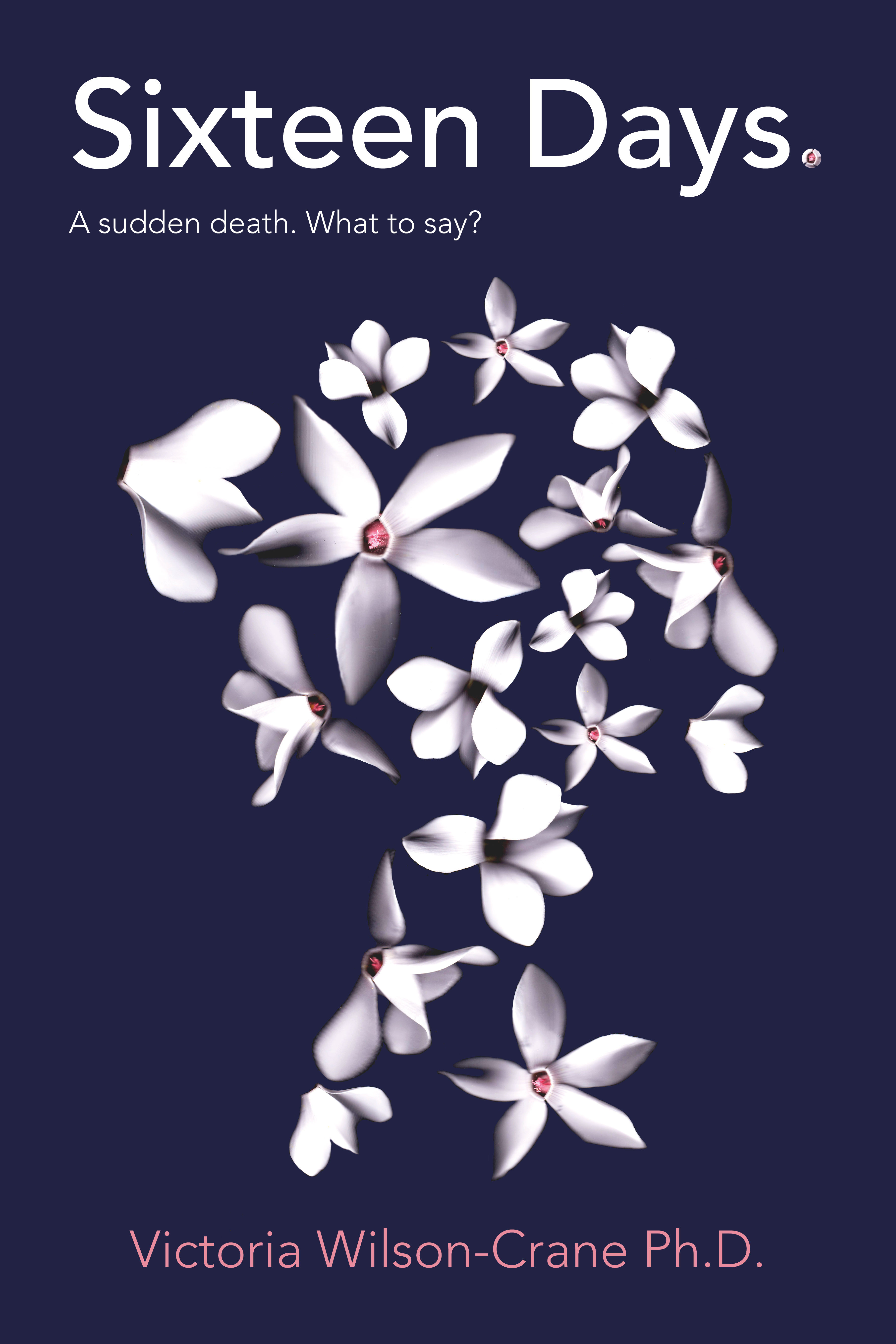 Author Interview – Shelley Wilson Author